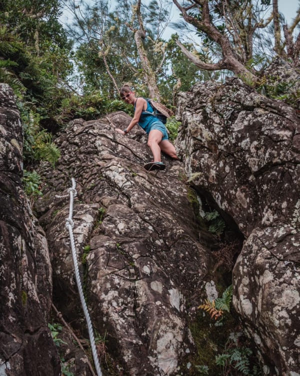 Down The Rabbit Hole - Exploring Rarotonga, Cook Islands